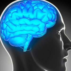 Types of Stress, Distress, Eustress and Neustress - Stressmanagement